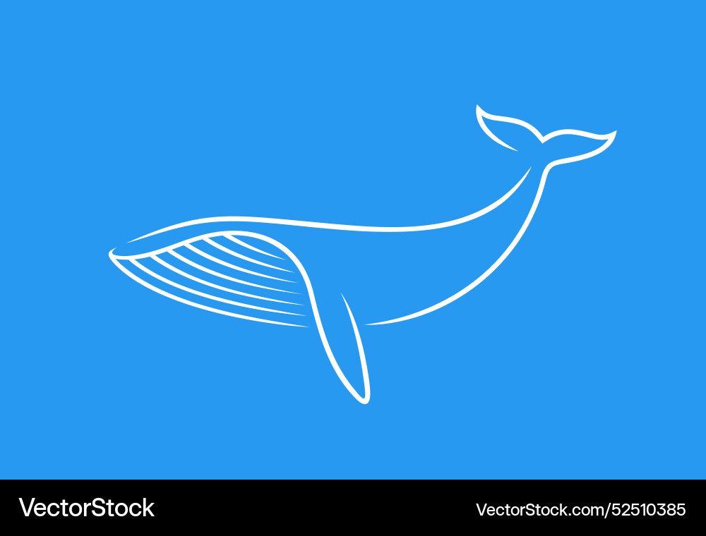 Whale Royalty Free Vector Image - VectorStock