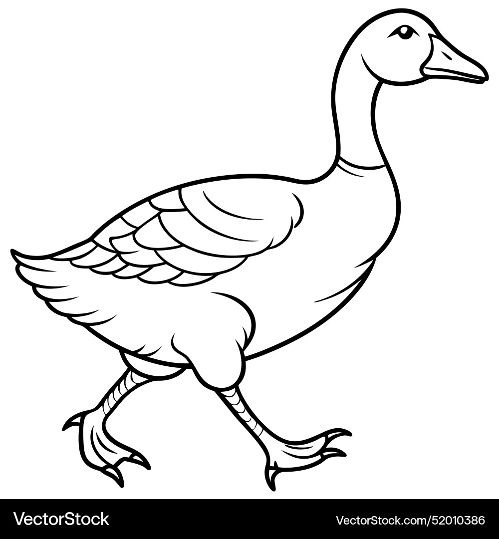 Emperor goose runs icon Royalty Free Vector Image