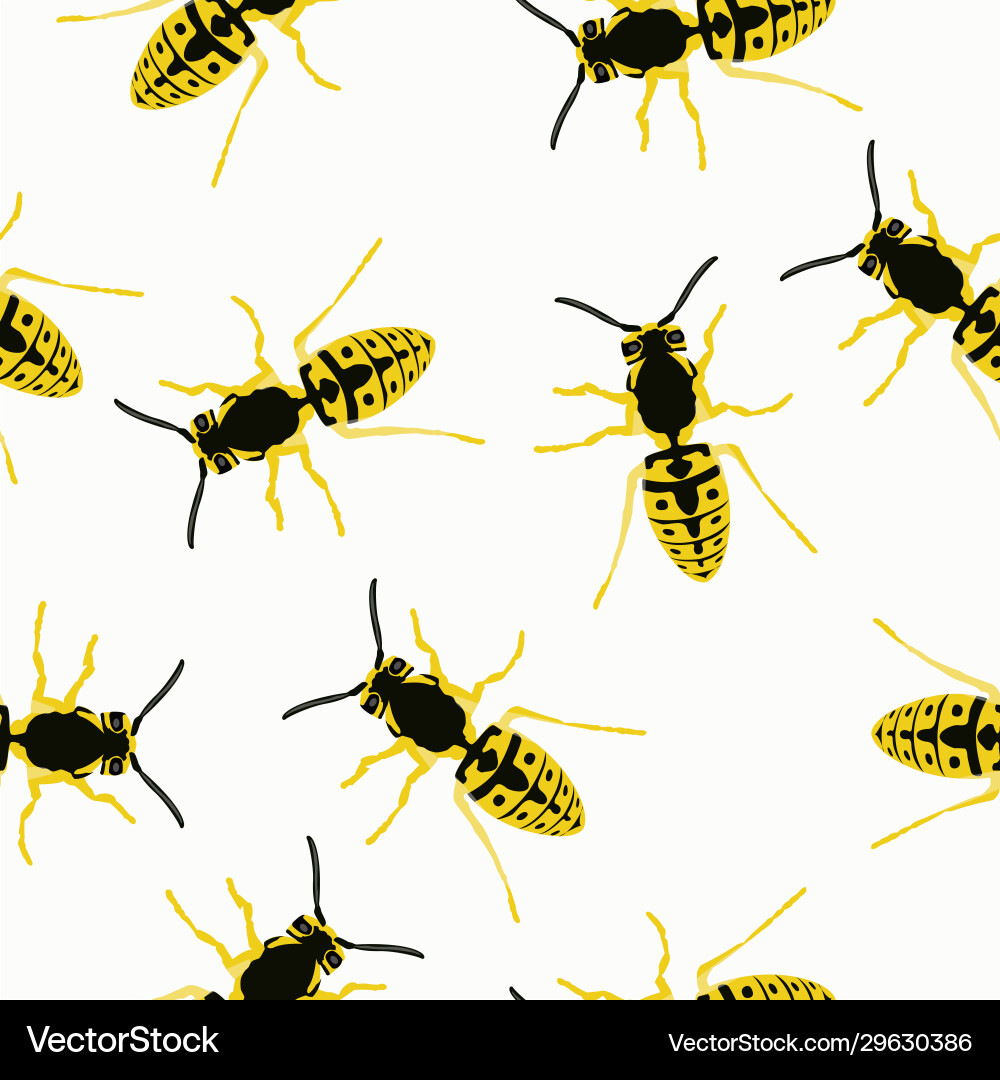 Wasps pattern Royalty Free Vector Image - VectorStock
