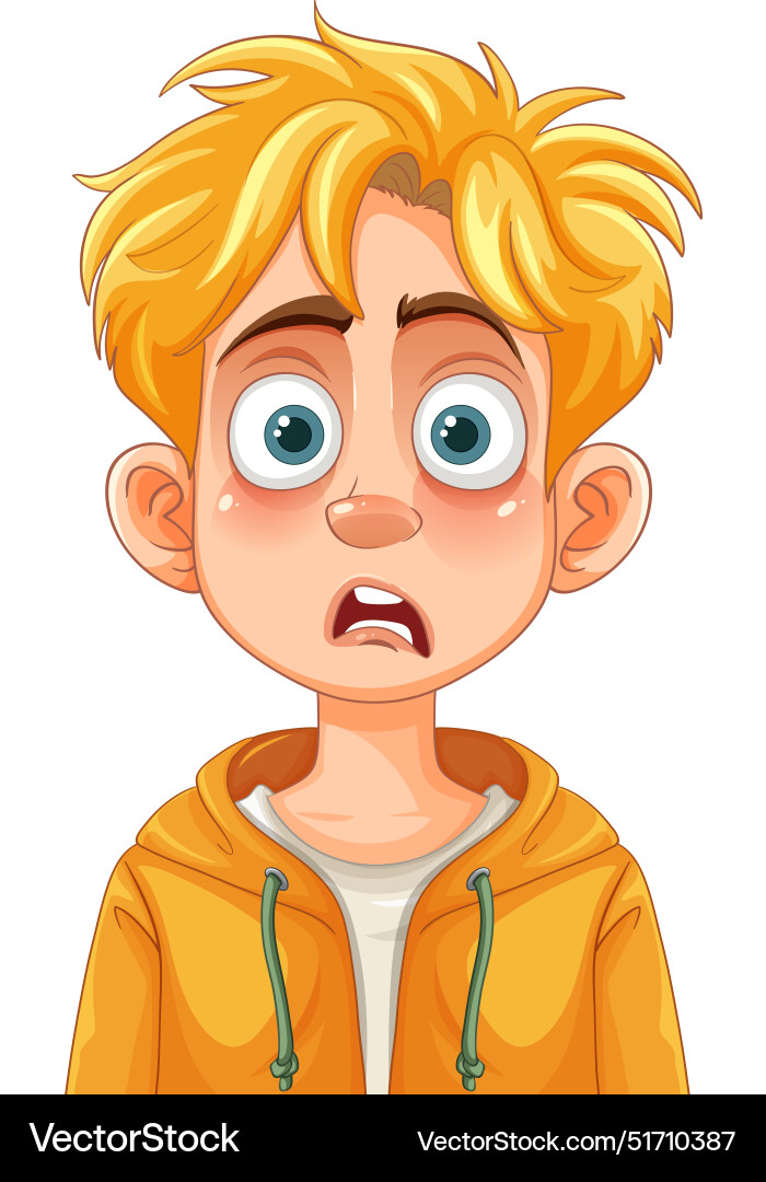 A boy with shocked expression Royalty Free Vector Image