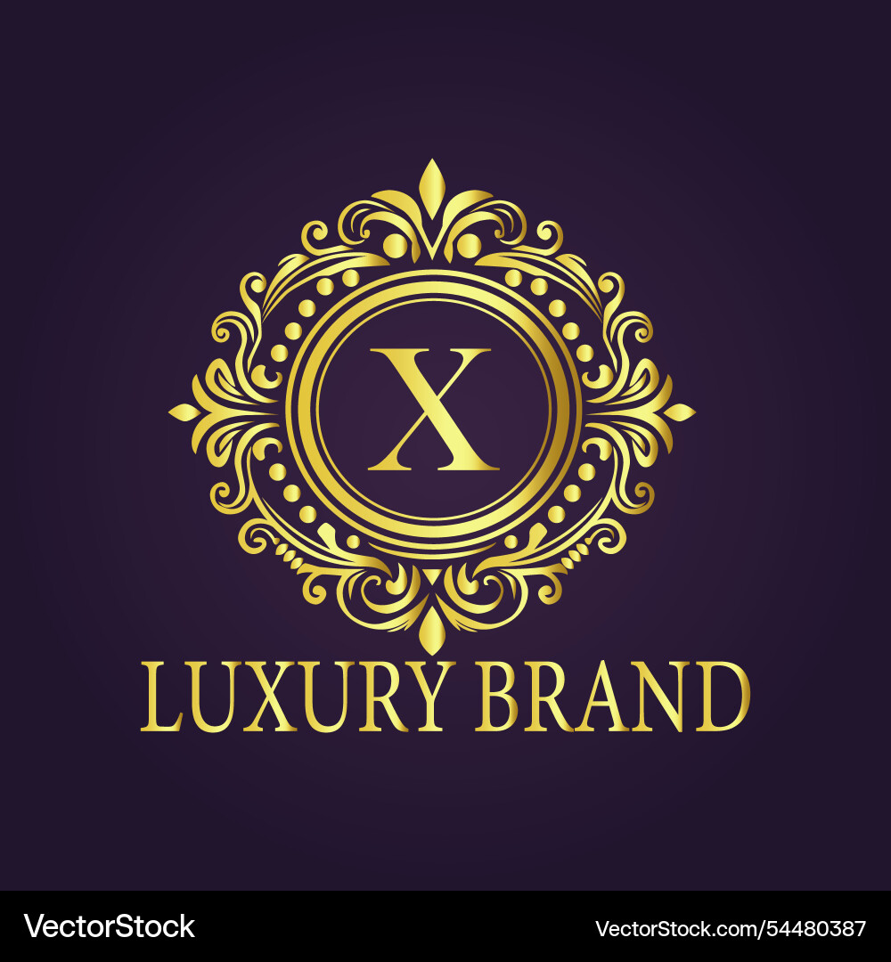 Letter x luxury gold logo concept Royalty Free Vector Image