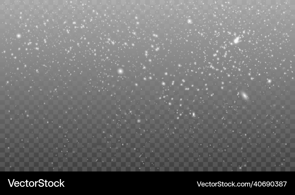 Realistic Falling Snow Overlay Royalty Free Vector Image