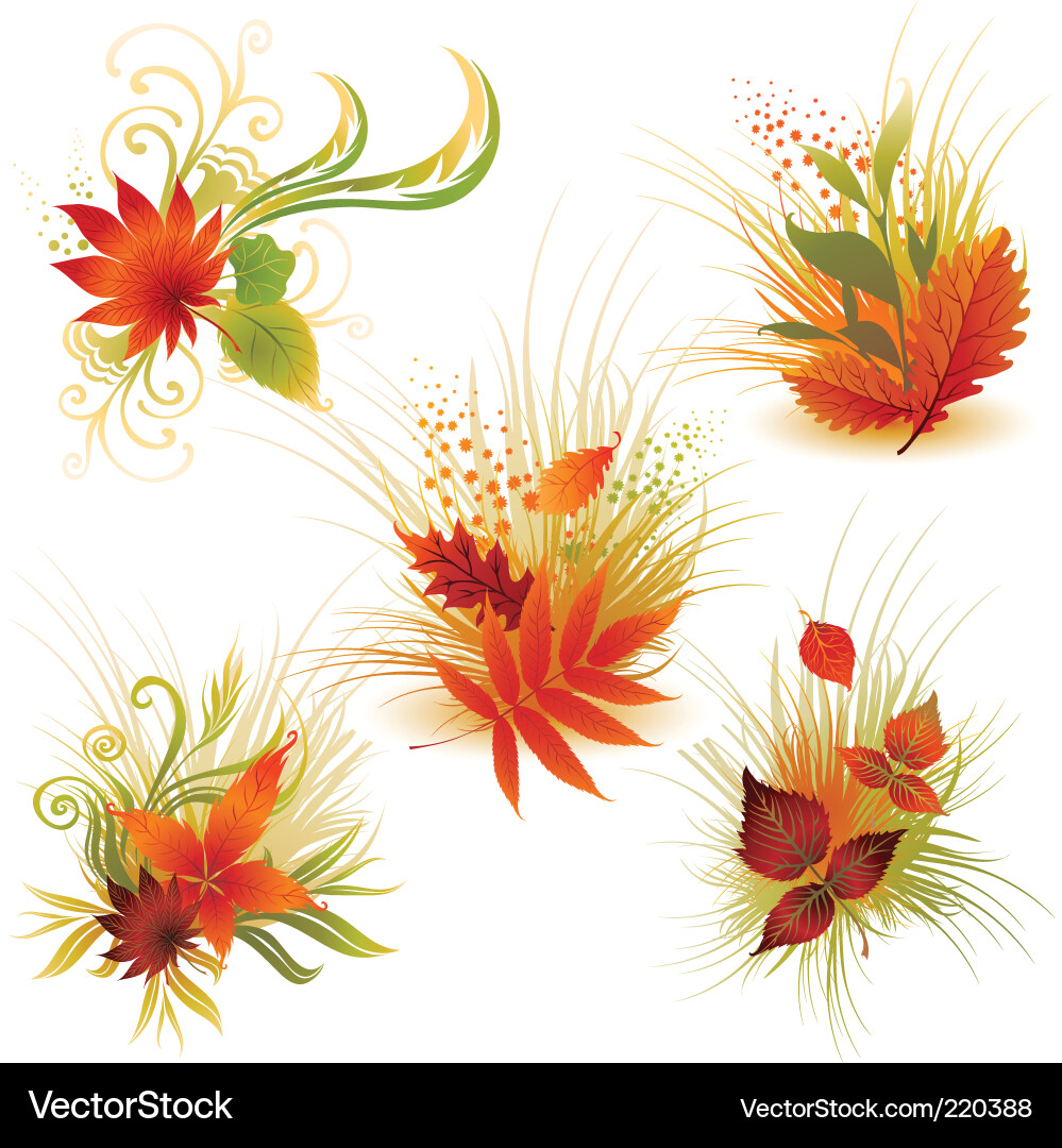 Autumn leaves Royalty Free Vector Image - VectorStock