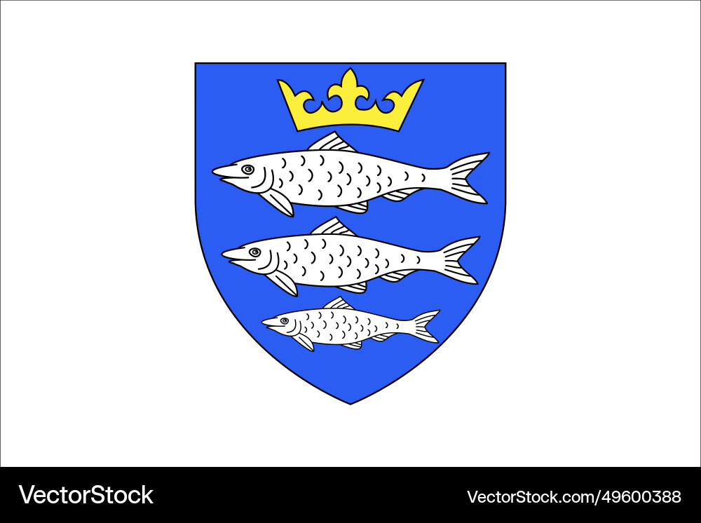 Chiny flag Royalty Free Vector Image - VectorStock