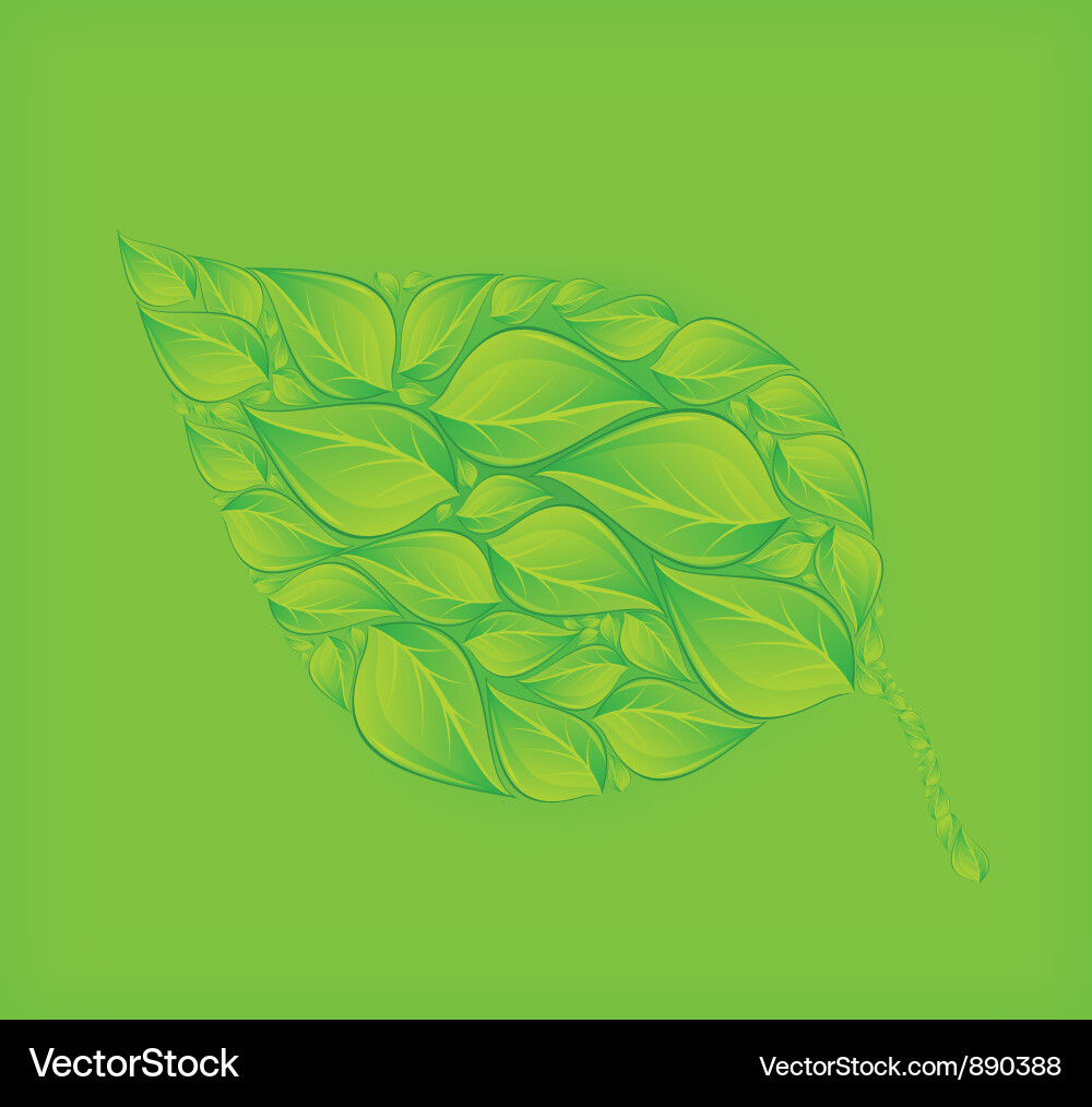 Green leaf background Royalty Free Vector Image