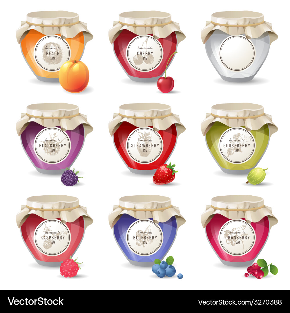 Jem jars Royalty Free Vector Image - VectorStock