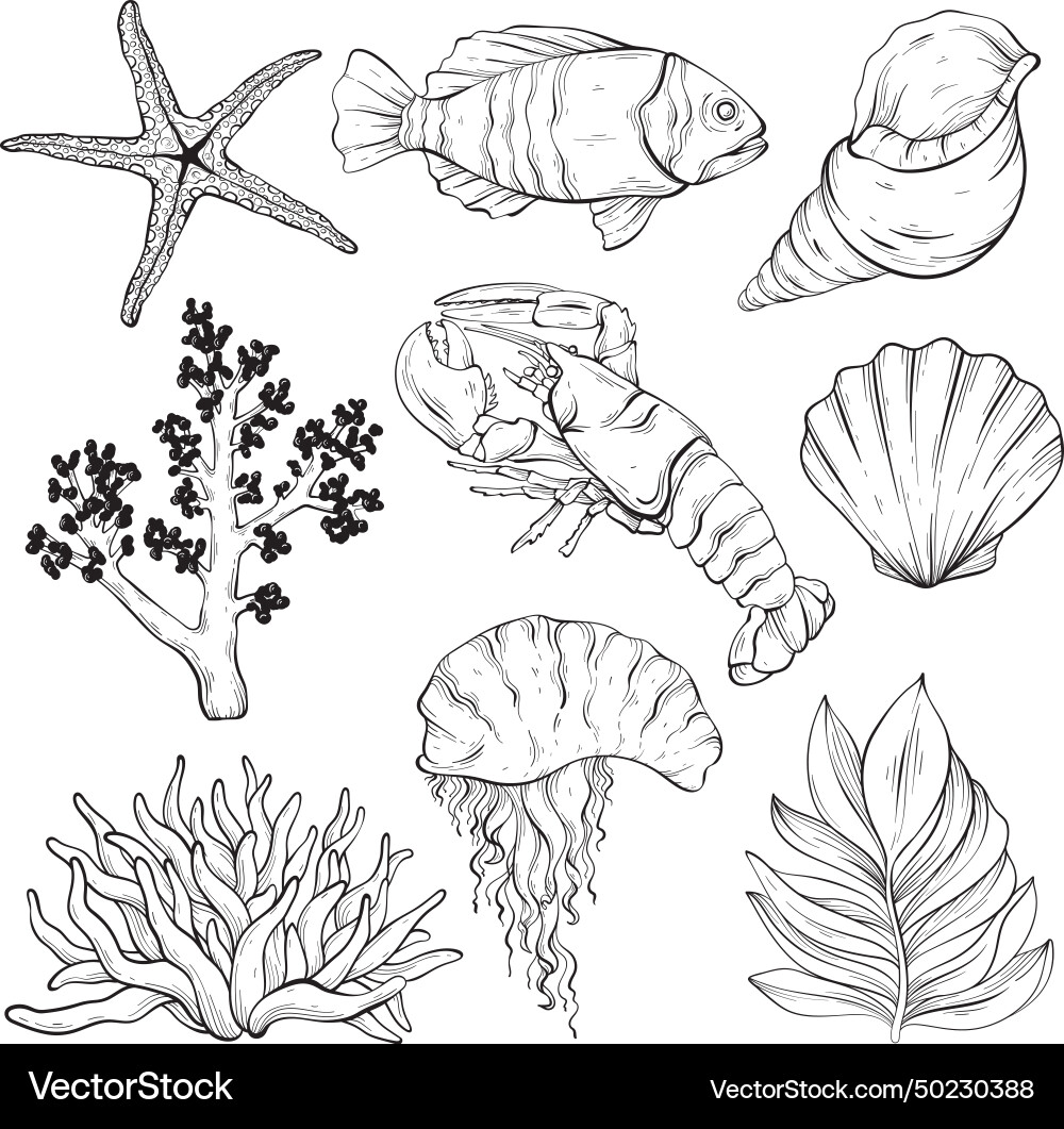 Outline sea creatures set Royalty Free Vector Image