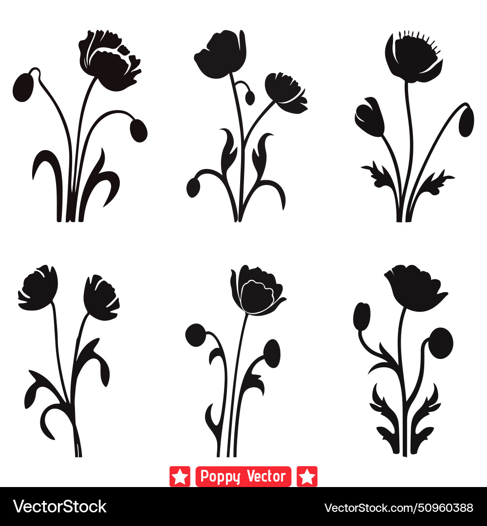 Poppy dance dynamic floral silhouette designs Vector Image