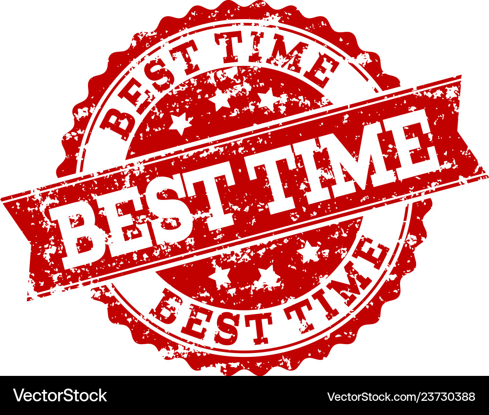 Red grunge best time stamp seal watermark Vector Image
