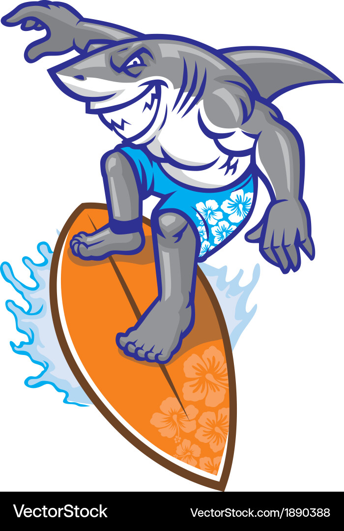 Shark surfer Royalty Free Vector Image - VectorStock