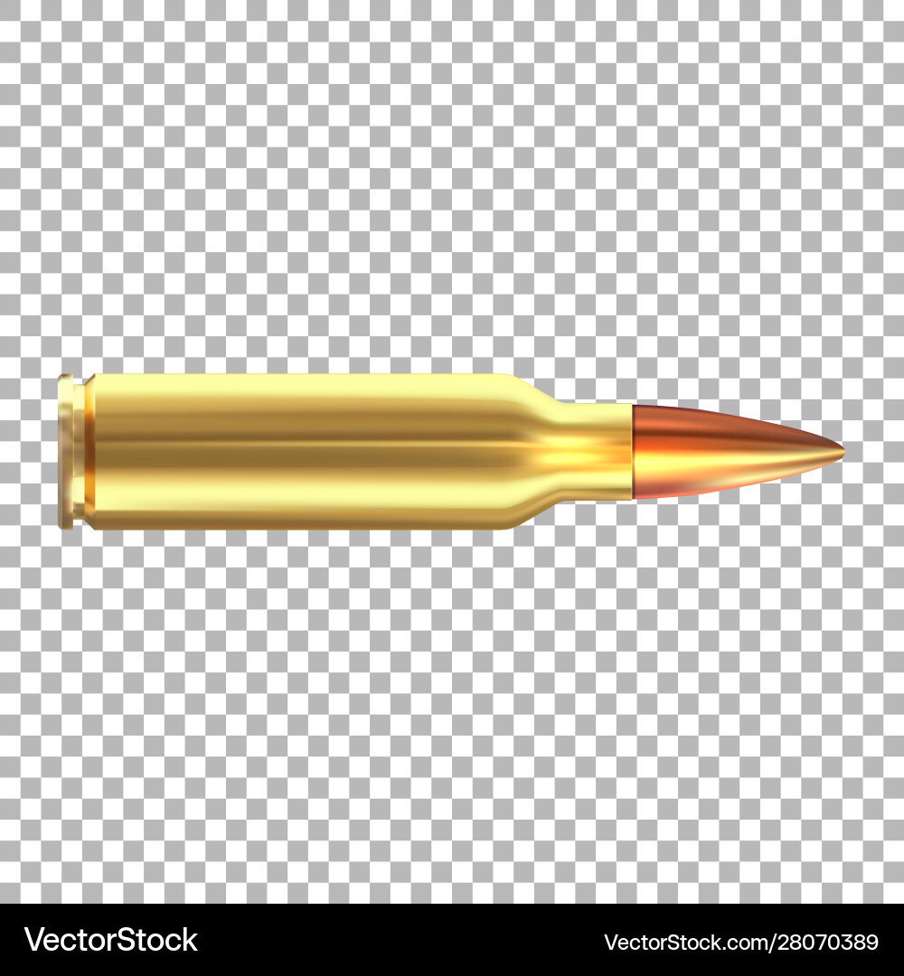 3d realistic rifle bullet isolated Royalty Free Vector Image