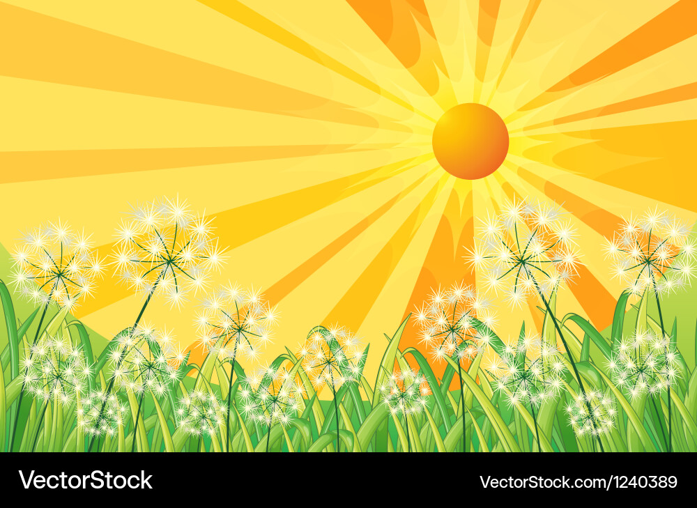 Sunset Over Grass Hill Royalty Free Vector Image