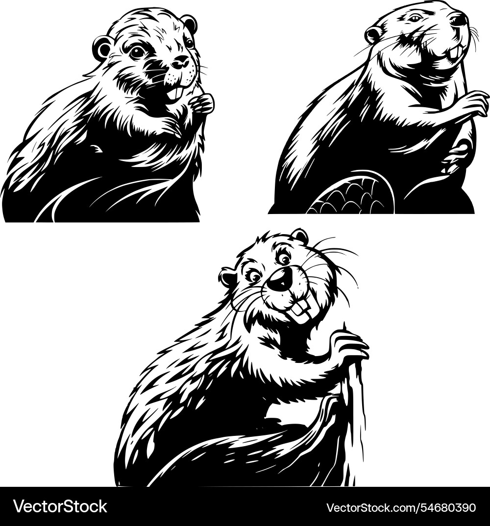 Beaver funny animal Royalty Free Vector Image - VectorStock