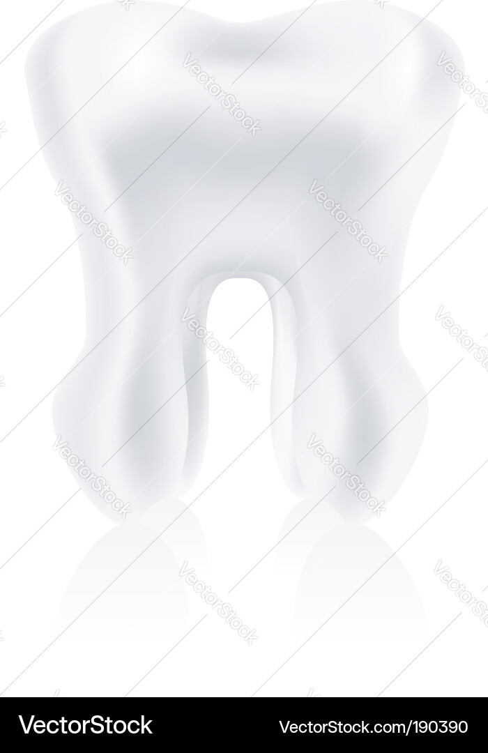 Foto realistischer Zahn Lizenzfreies Vektorbild