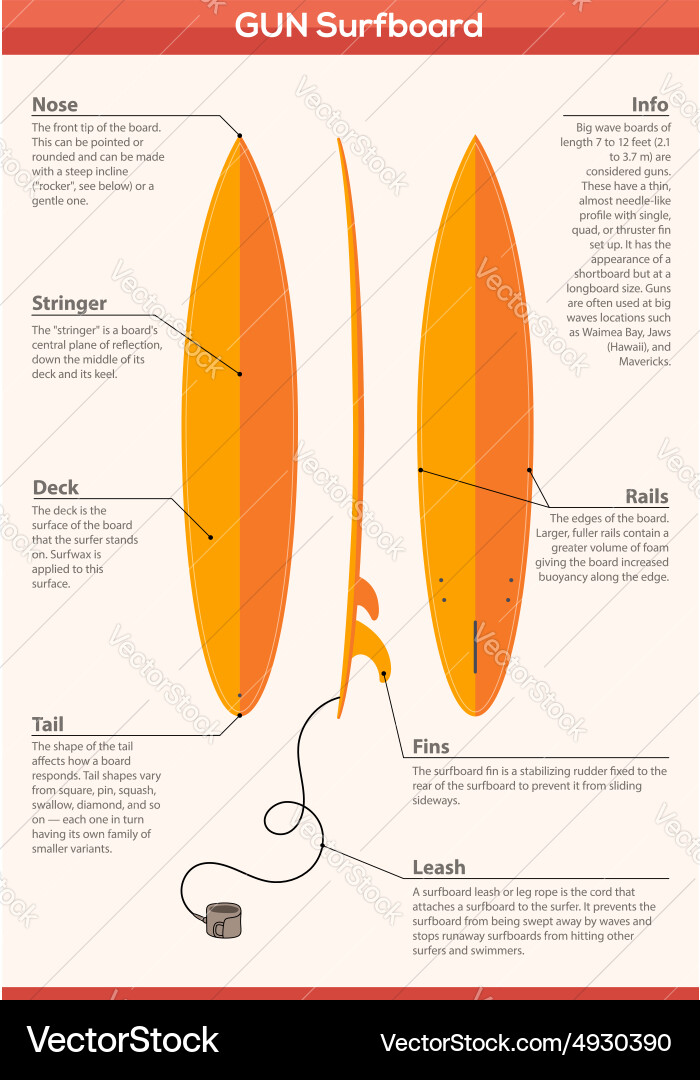 Gun Surfboard Infographic Template Royalty Free Vector Image