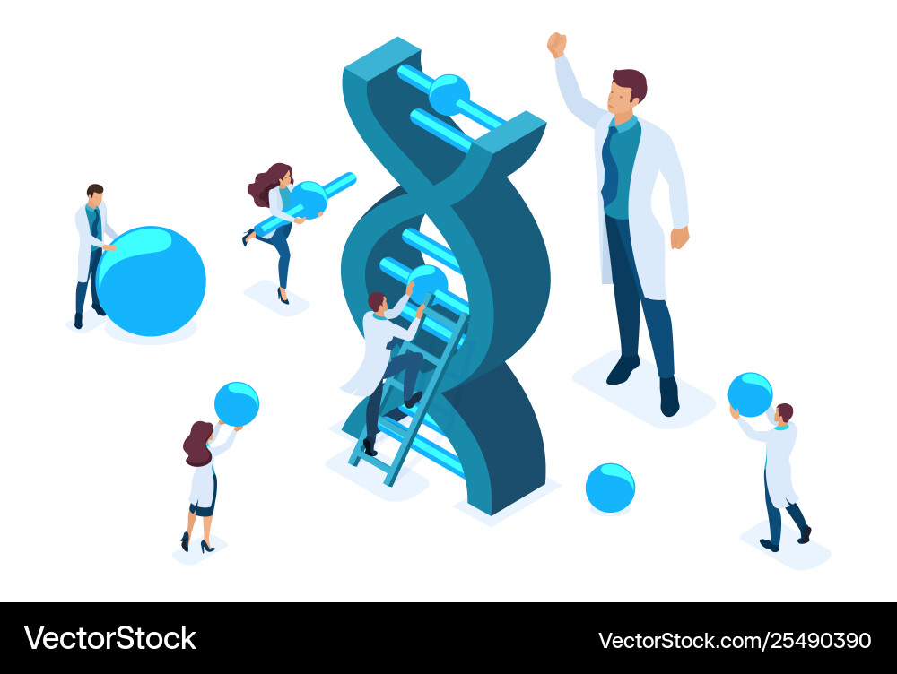 Scientists are investigating structure dna Vector Image