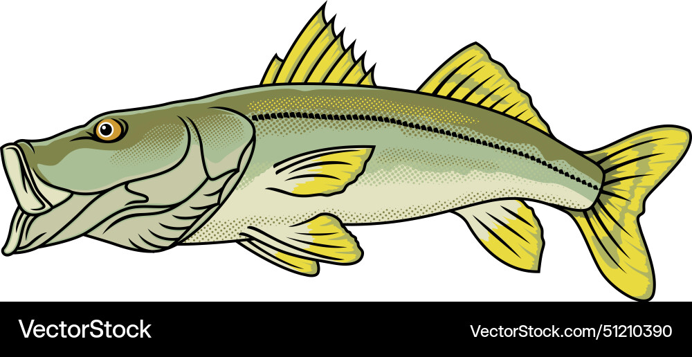 Snook fishing logo image t shi Royalty Free Vector Image