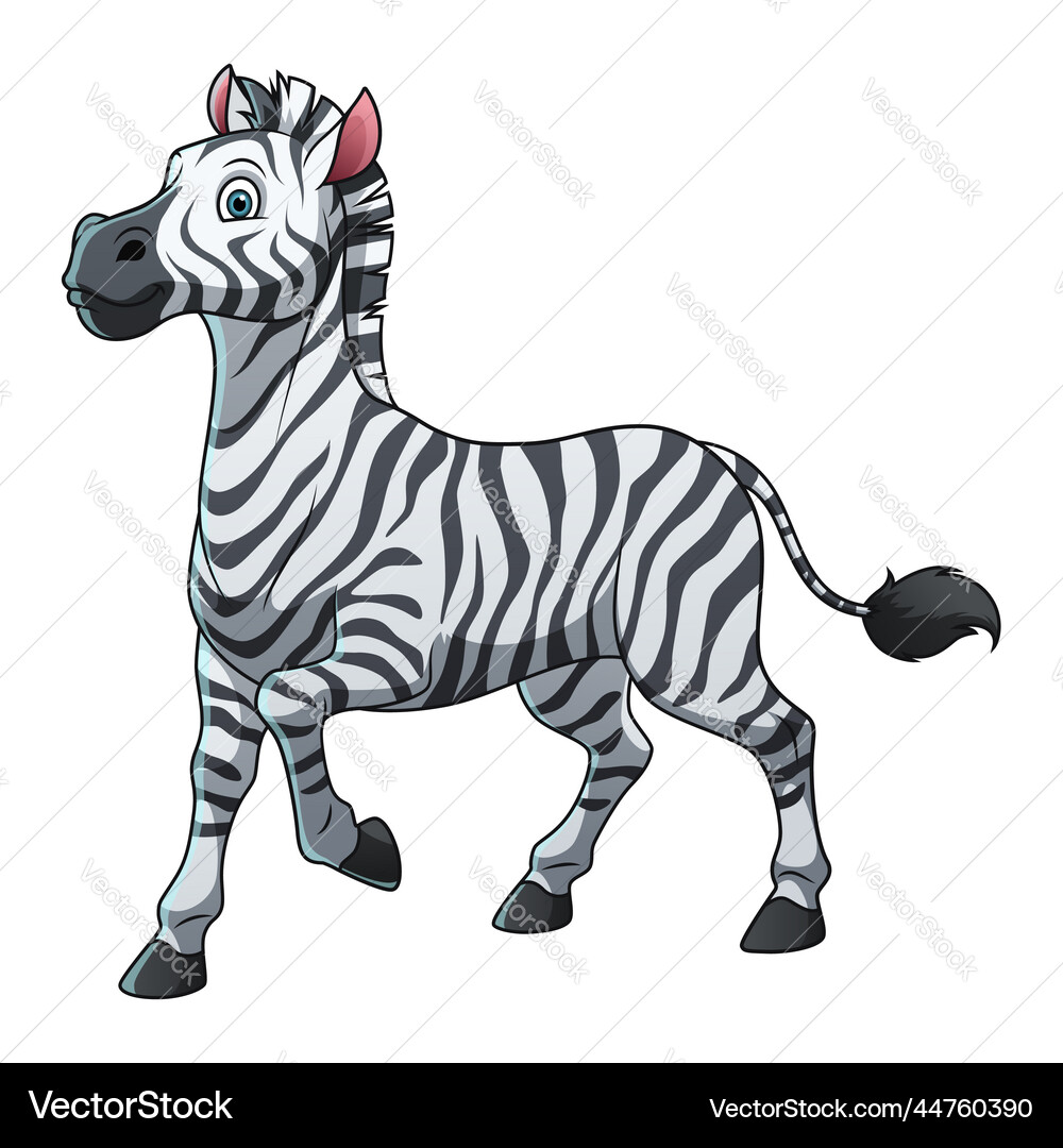 Zebra cartoon animal Royalty Free Vector Image