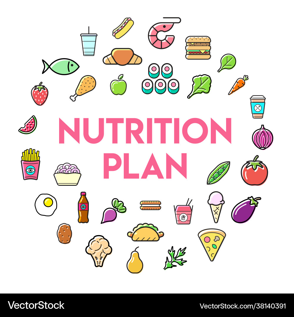 Nutrition plan icons with sign in circle shape Vector Image