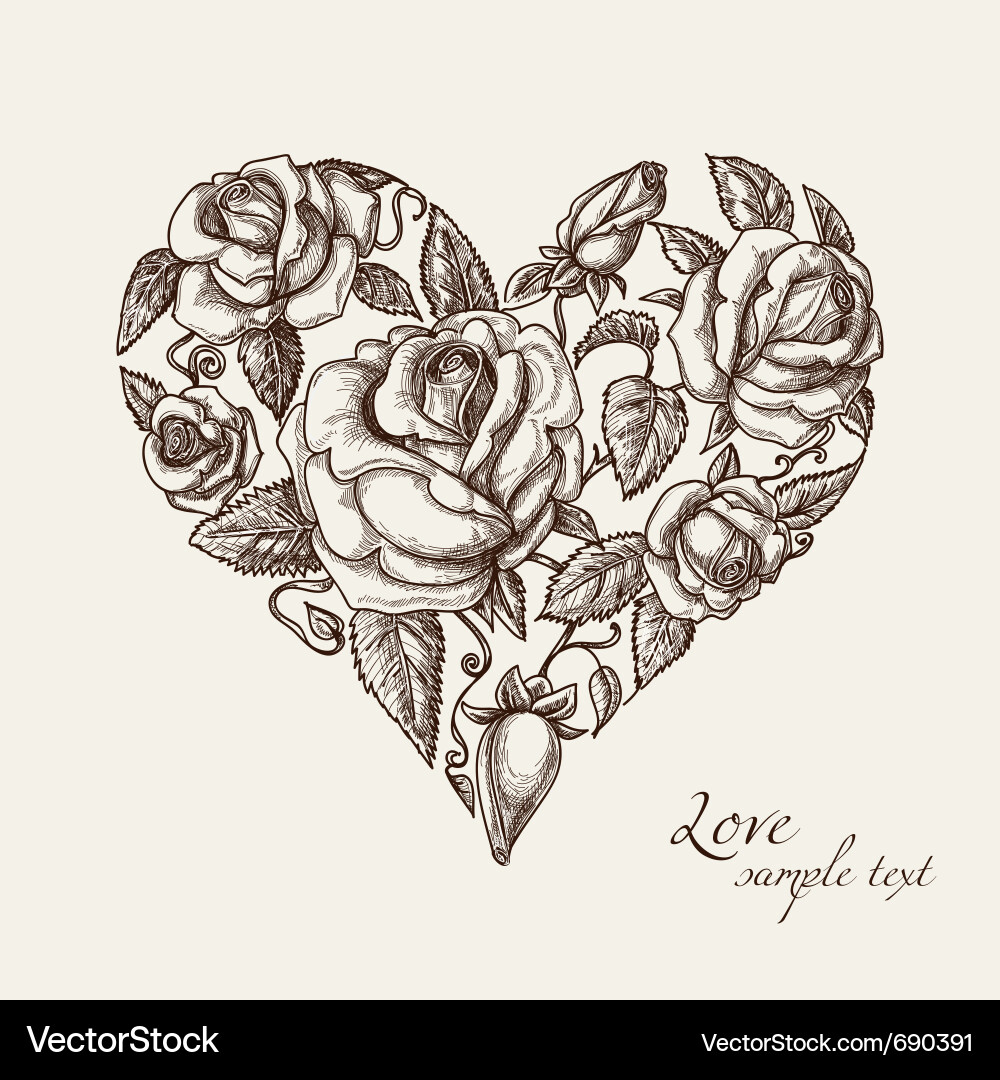 Vintage roses Royalty Free Vector Image - VectorStock