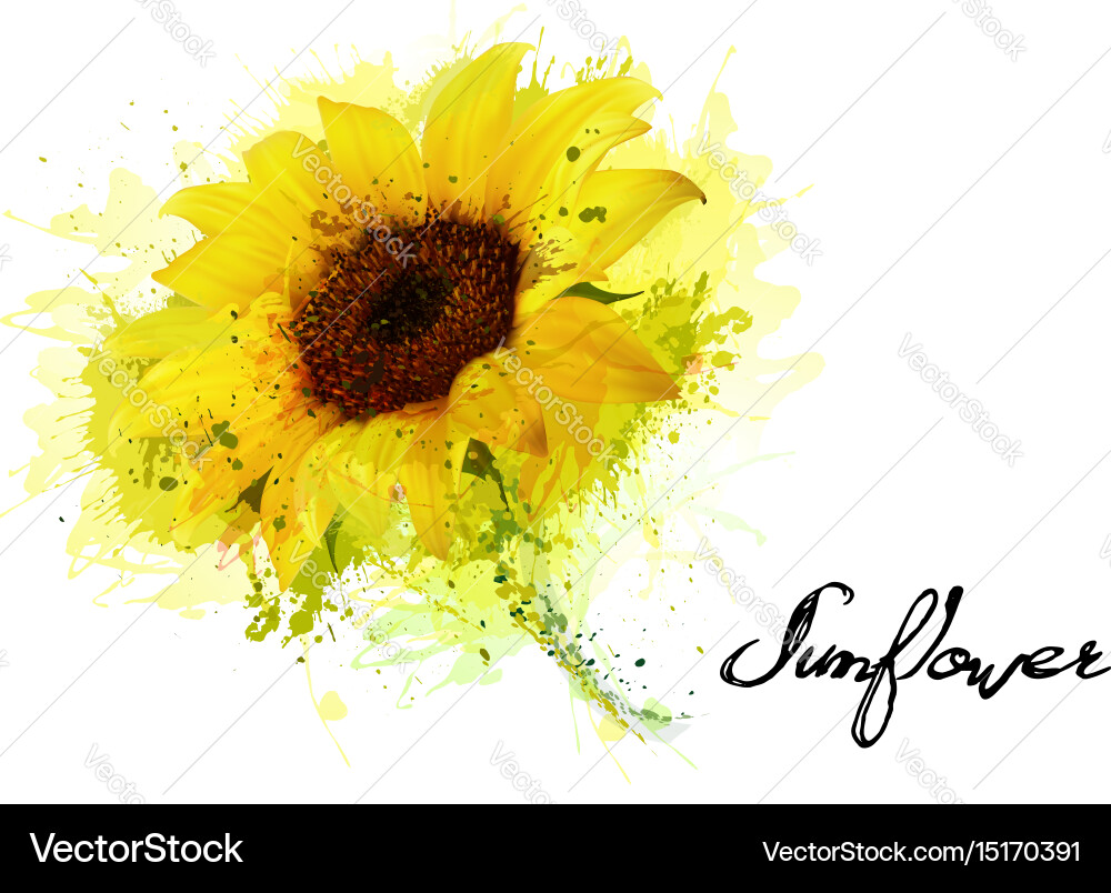 Watercolor Sunflower Background Royalty Free Vector Image