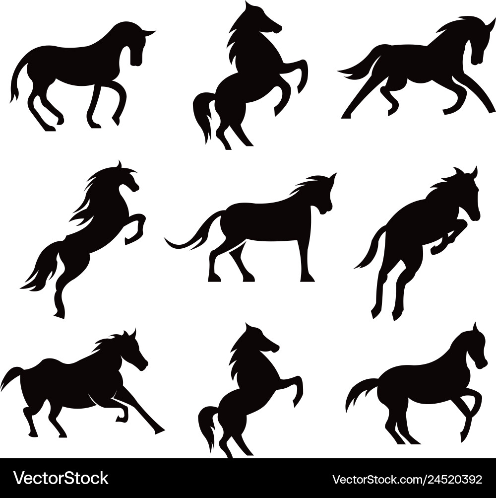 Horse animal Royalty Free Vector Image - VectorStock