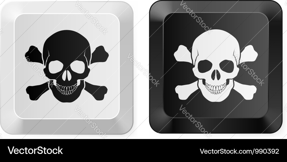 Skull key Royalty Free Vector Image - VectorStock