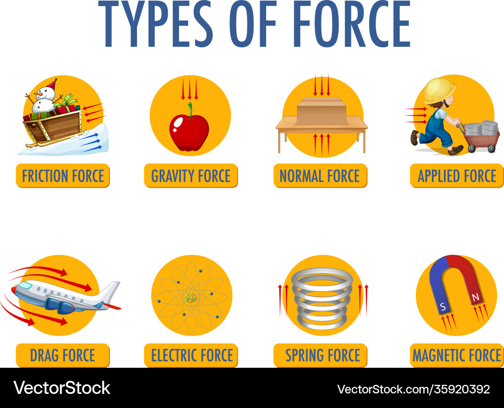 Types force for children physics educational Vector Image