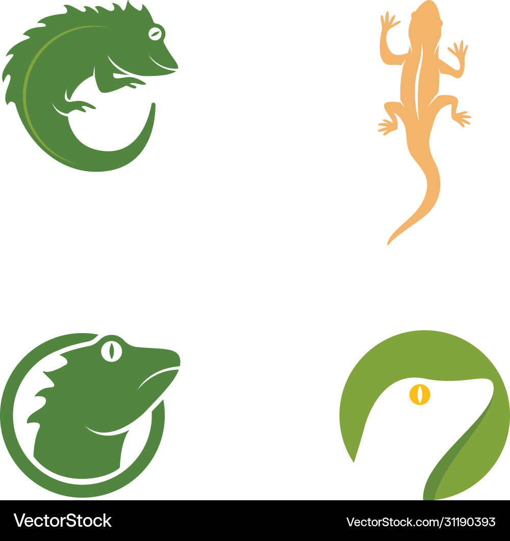 Logotipo De Reptil