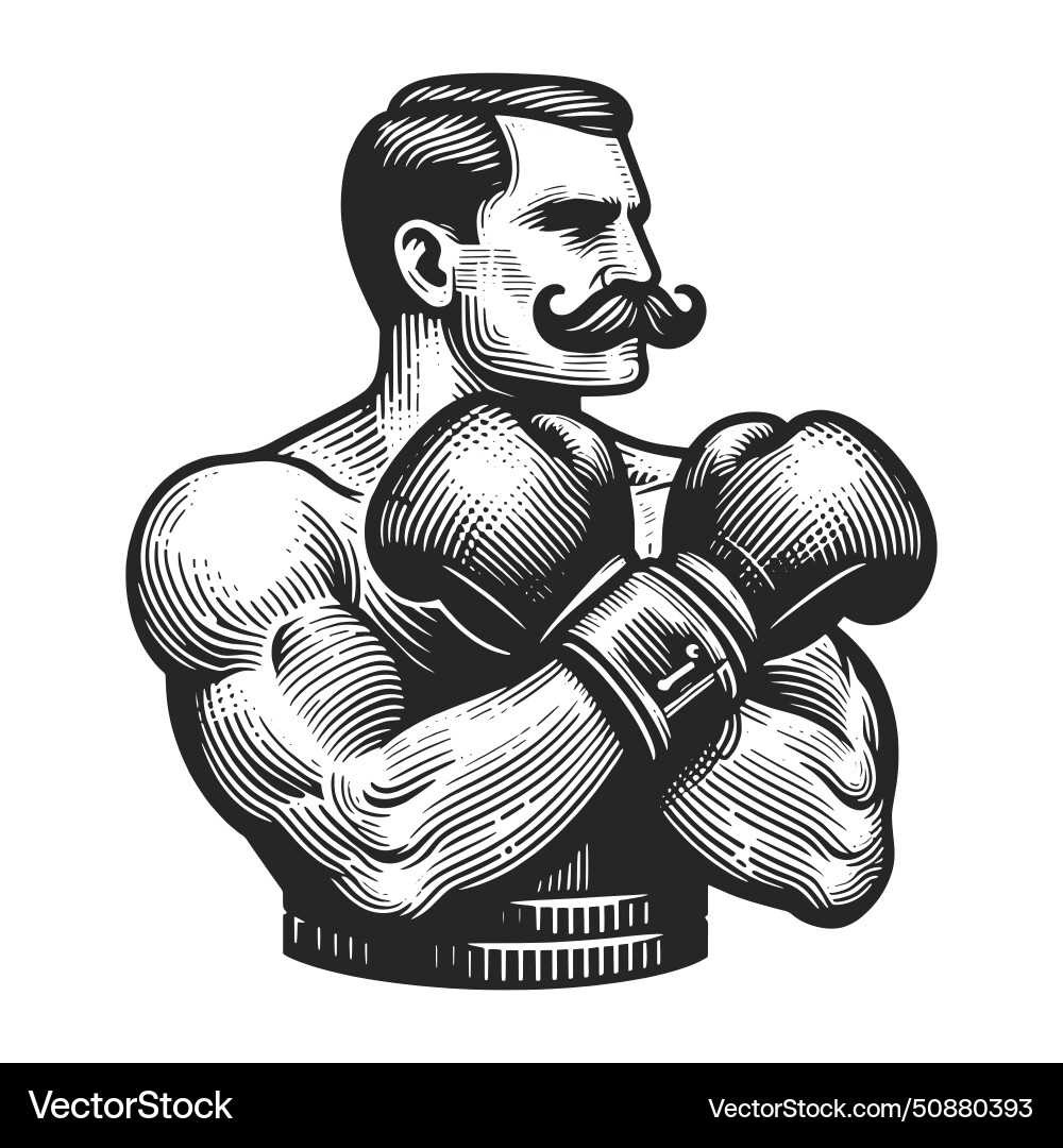 Vintage boxer with gloves sketch Royalty Free Vector Image