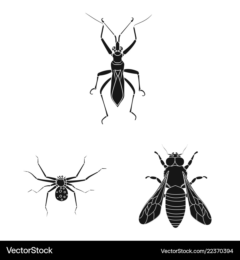 Insect and fly icon set Royalty Free Vector Image