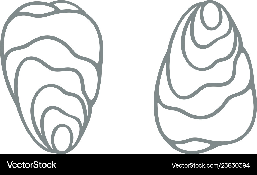 Oyster Royalty Free Vector Image - VectorStock