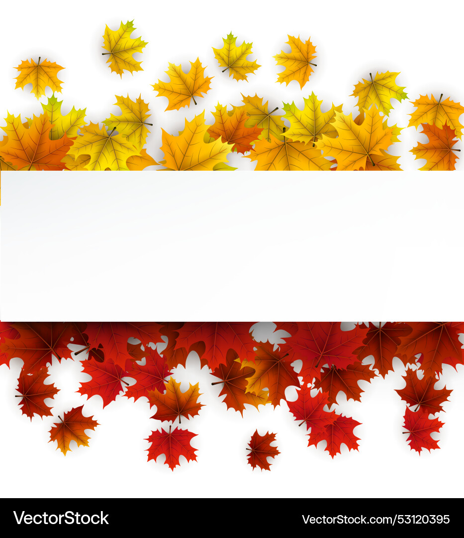 Autumn leaves with blank white banner Royalty Free Vector