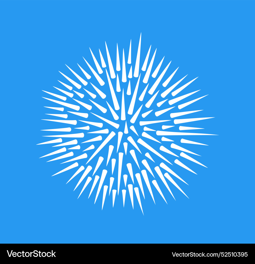 Sea urchin Royalty Free Vector Image - VectorStock