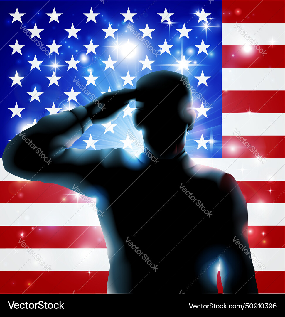 Patriotic Soldier Saluting Flag Royalty Free Vector Image