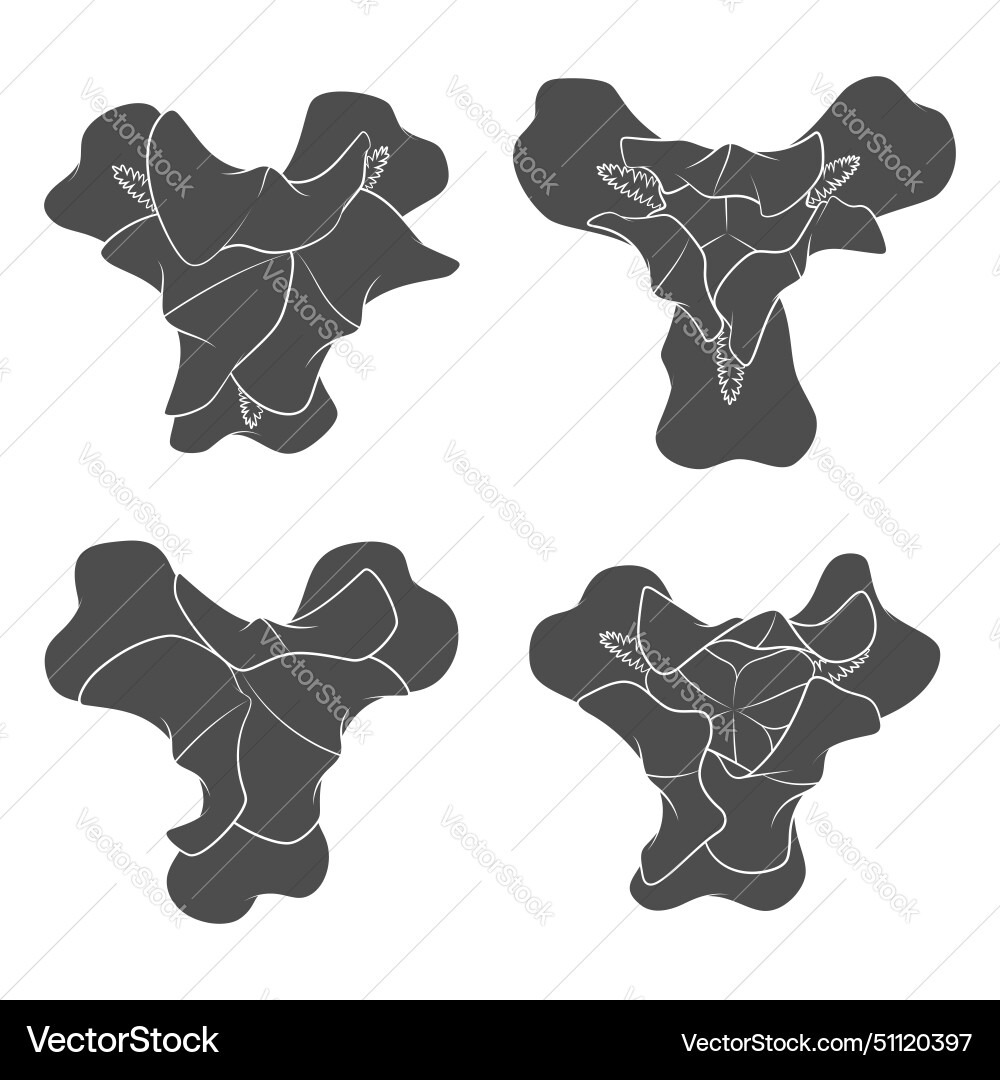 Set of with iris flowers Royalty Free Vector Image