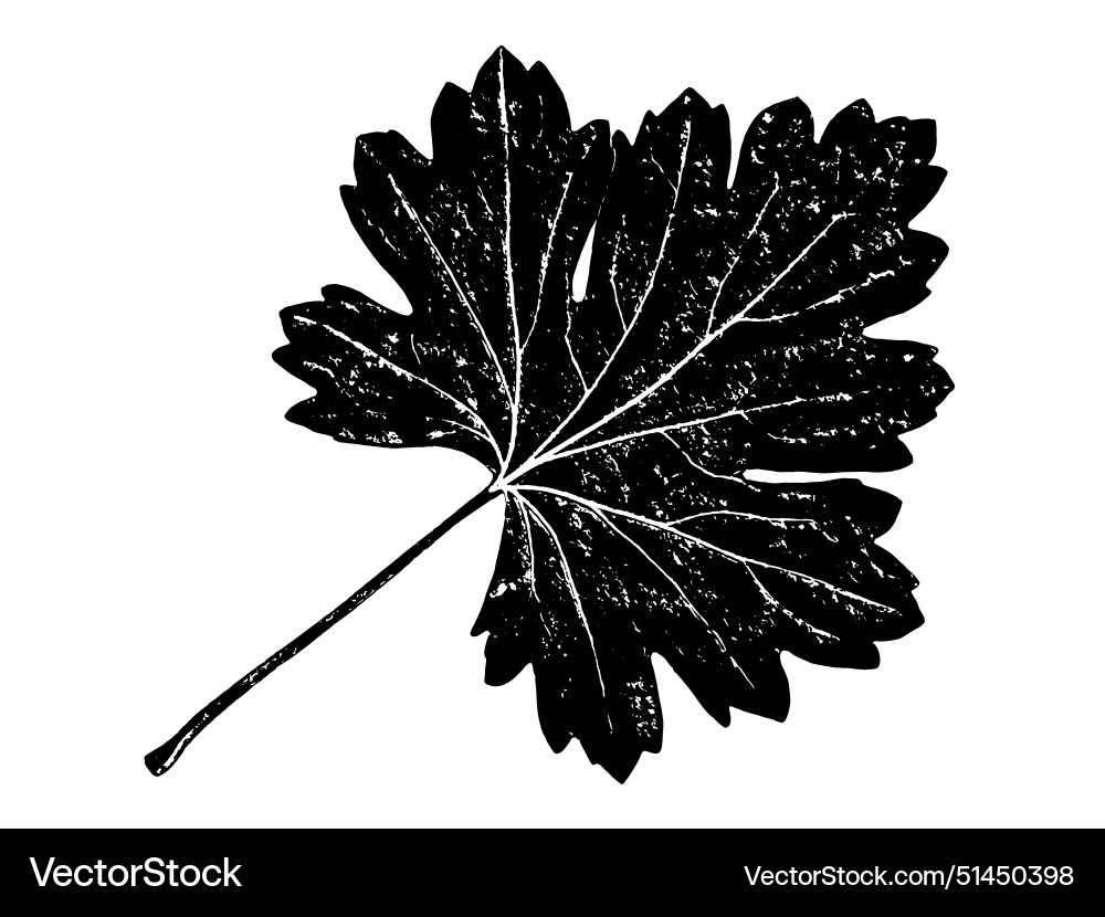 Black leaf realistic texture overlay Royalty Free Vector