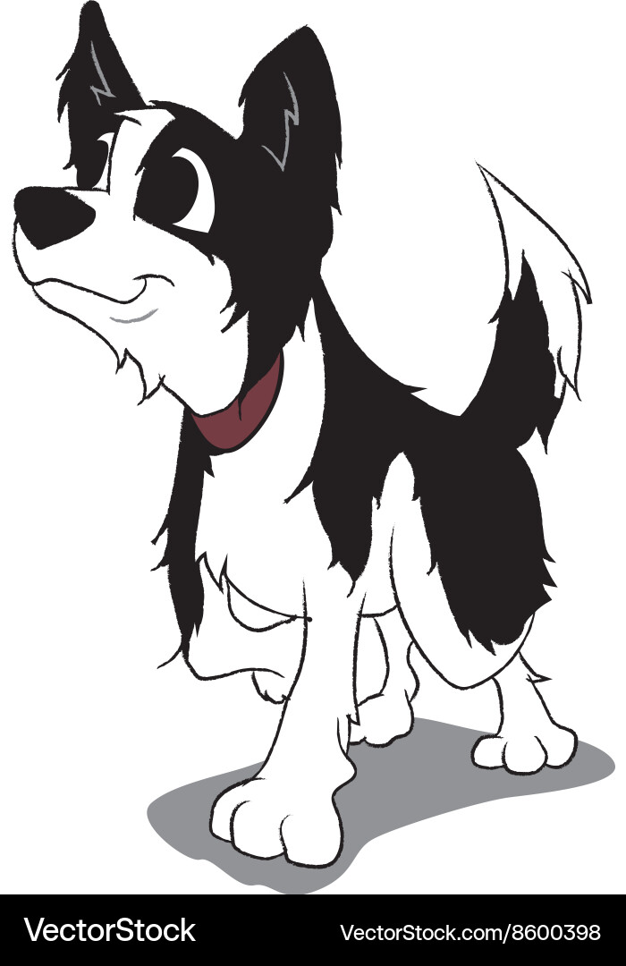 Border collie cartoon Royalty Free Vector Image