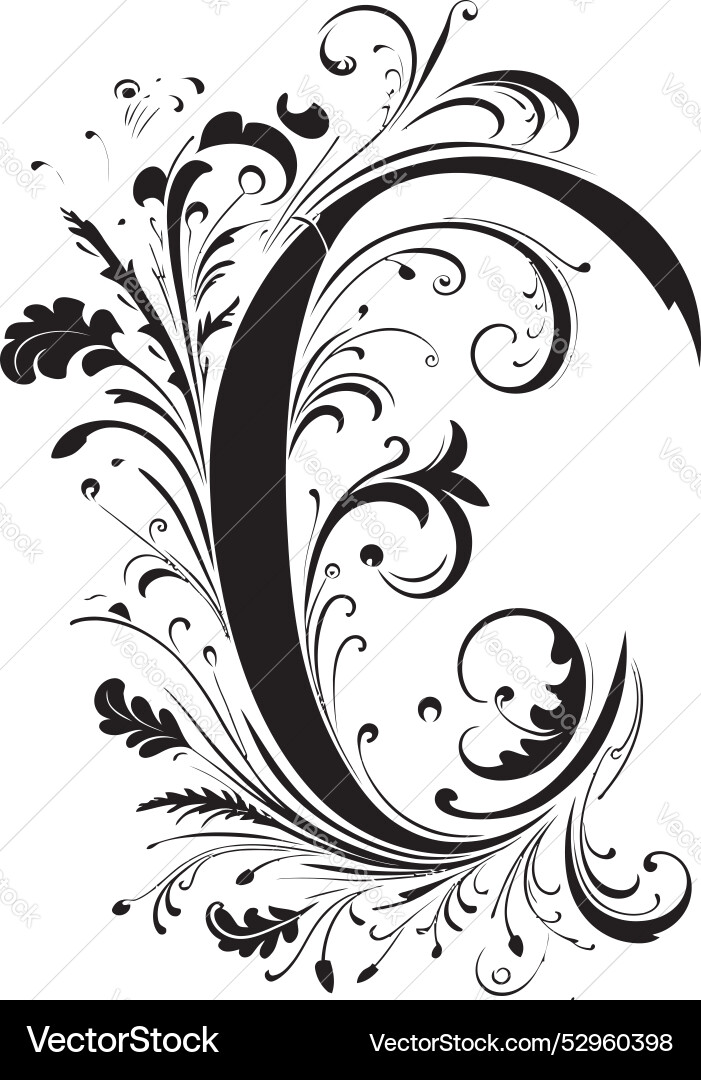 Curated curves selected letter c typeface Vector Image