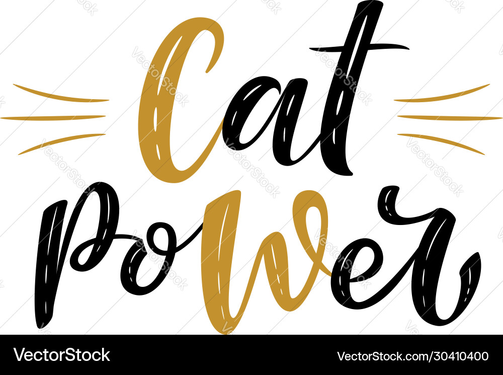 Cat power handwritten sign modern brush lettering Vector Image