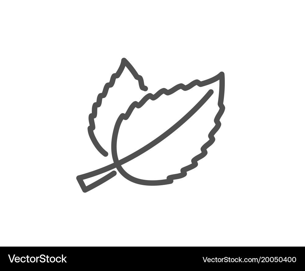Mint leaves line icon herbal leaf Royalty Free Vector Image