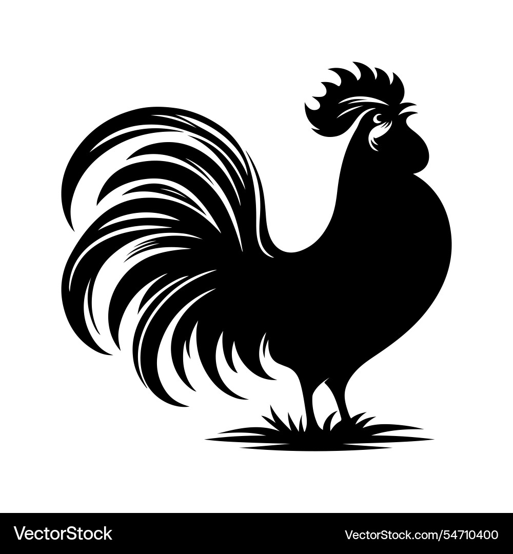 Rooster silhouette Royalty Free Vector Image - VectorStock