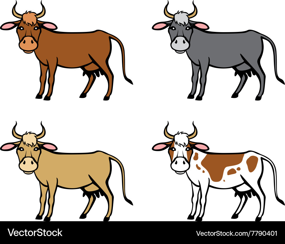 Cow color Royalty Free Vector Image - VectorStock