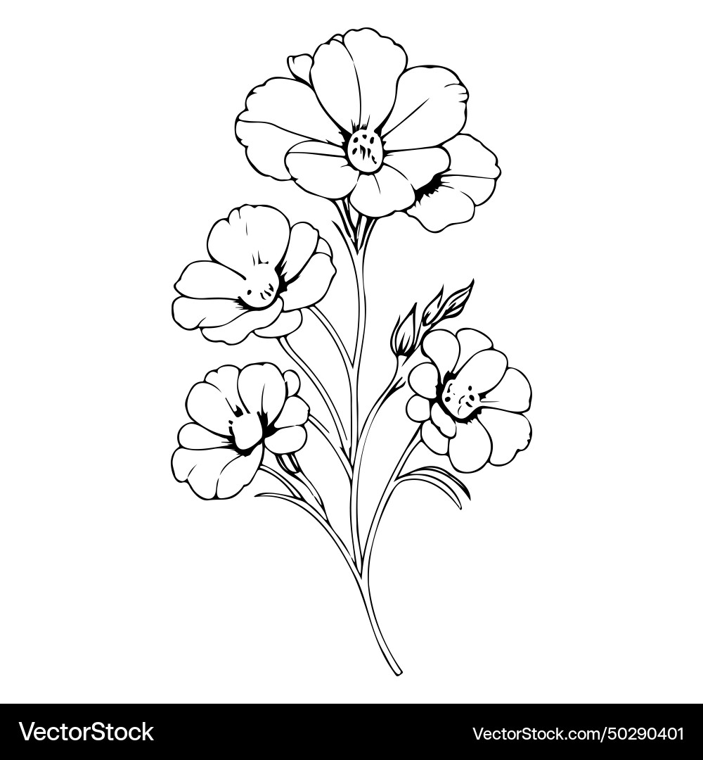 Primrose drawing flower violet hand draw Vector Image