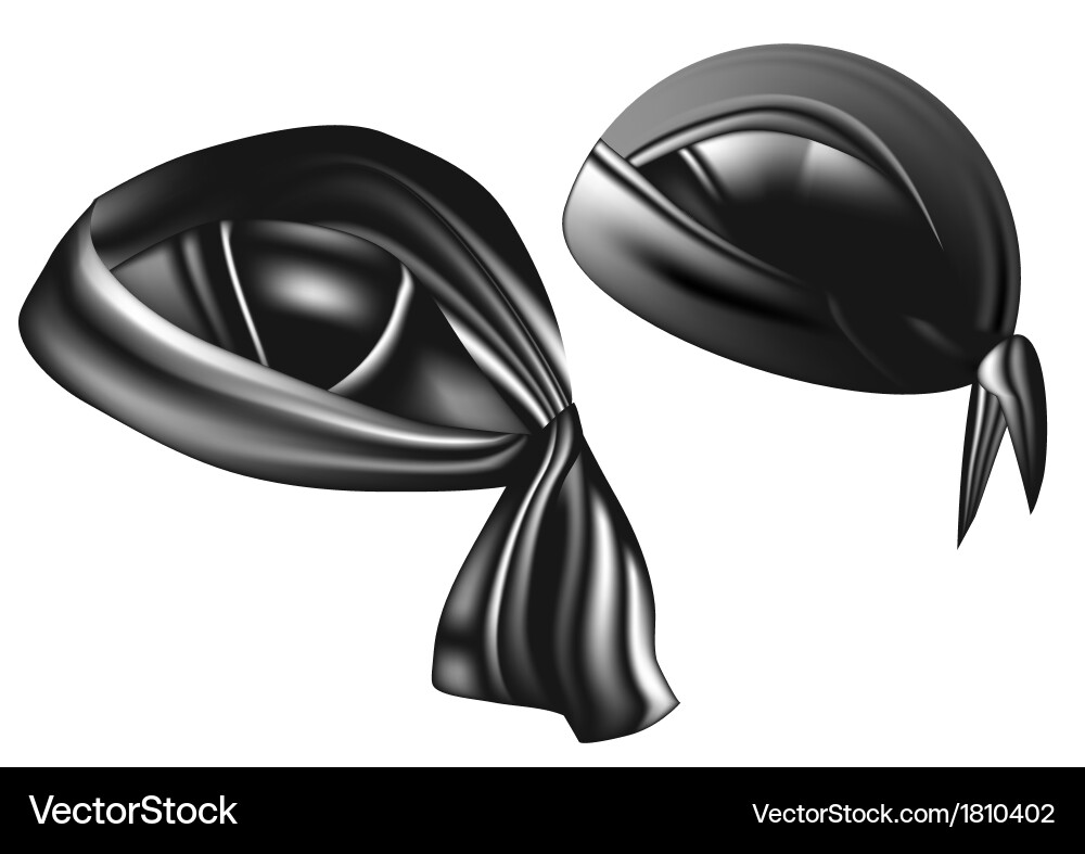 Bandana Royalty Free Vector Image - VectorStock