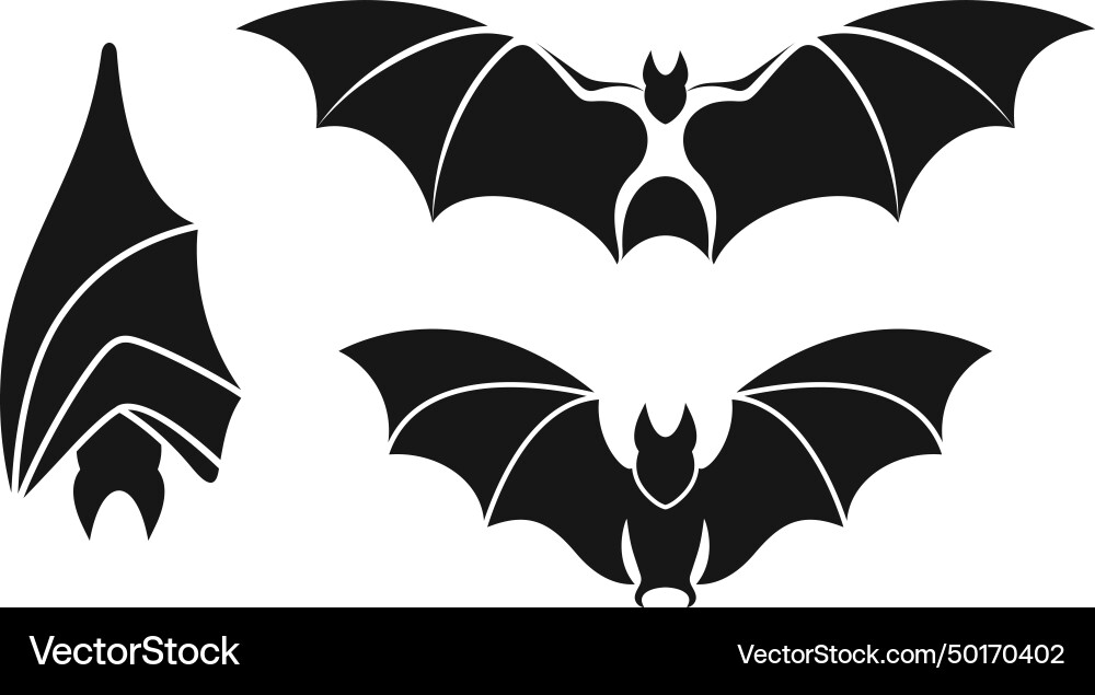 Bat Royalty Free Vector Image - VectorStock