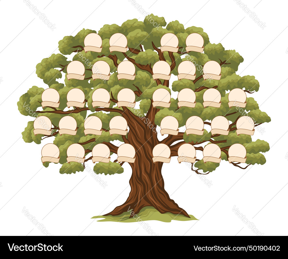 Blank Family Tree Clip Art 703 Family Tree High Res Illustrations