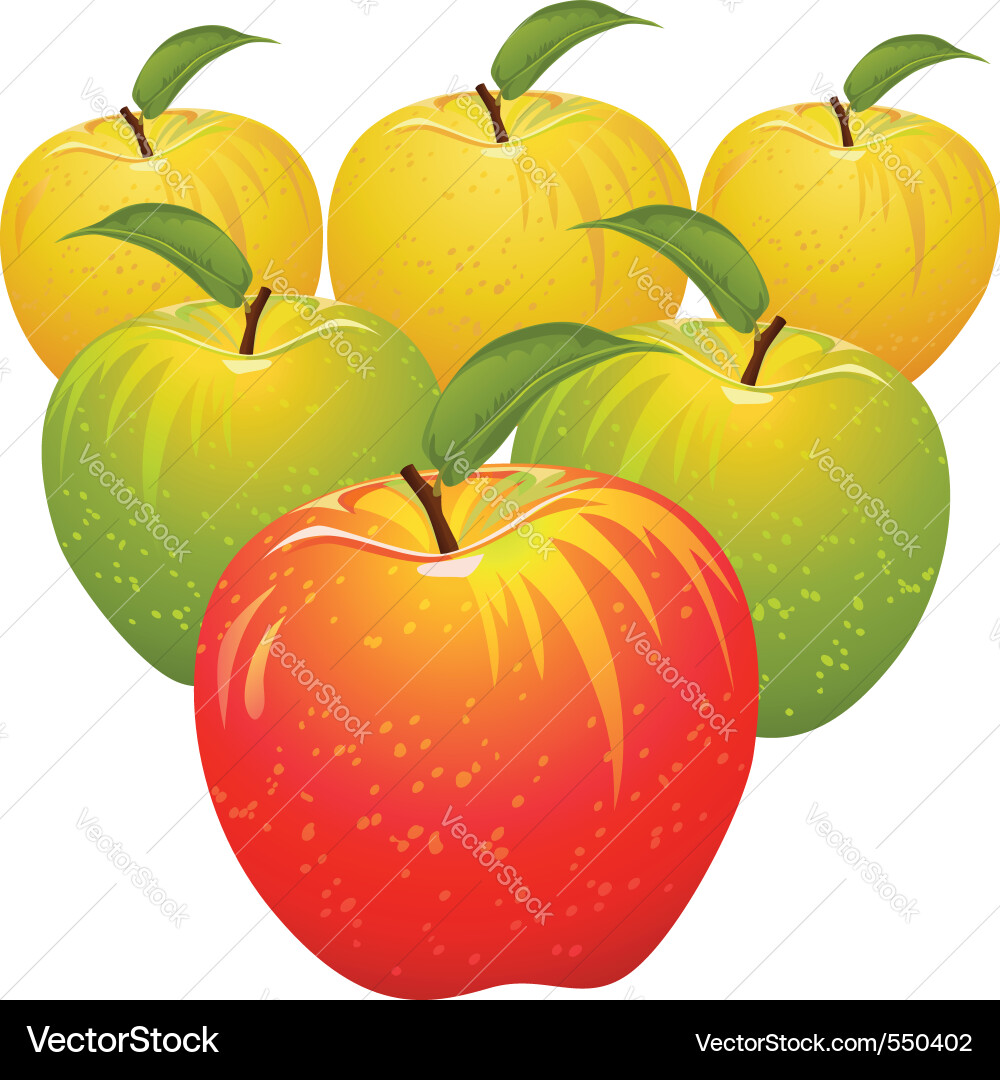 Juicy apples Royalty Free Vector Image - VectorStock