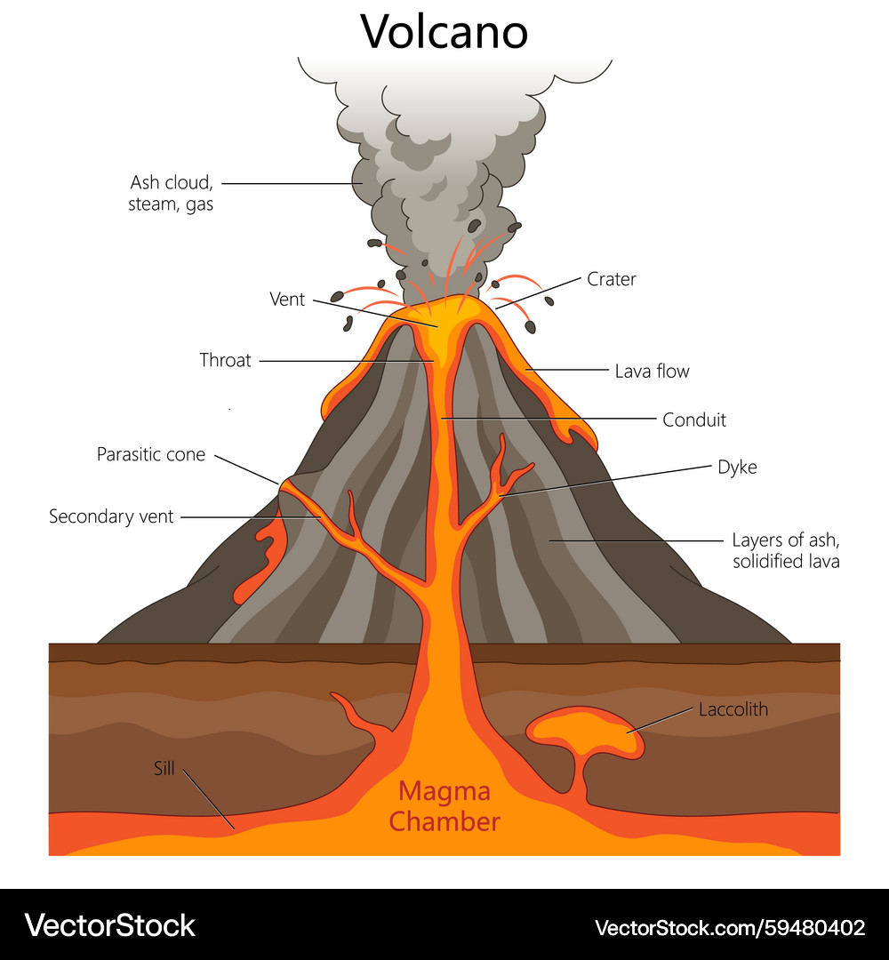 Labeled Volcano Diagram – Royalty-Free Vector | VectorStock