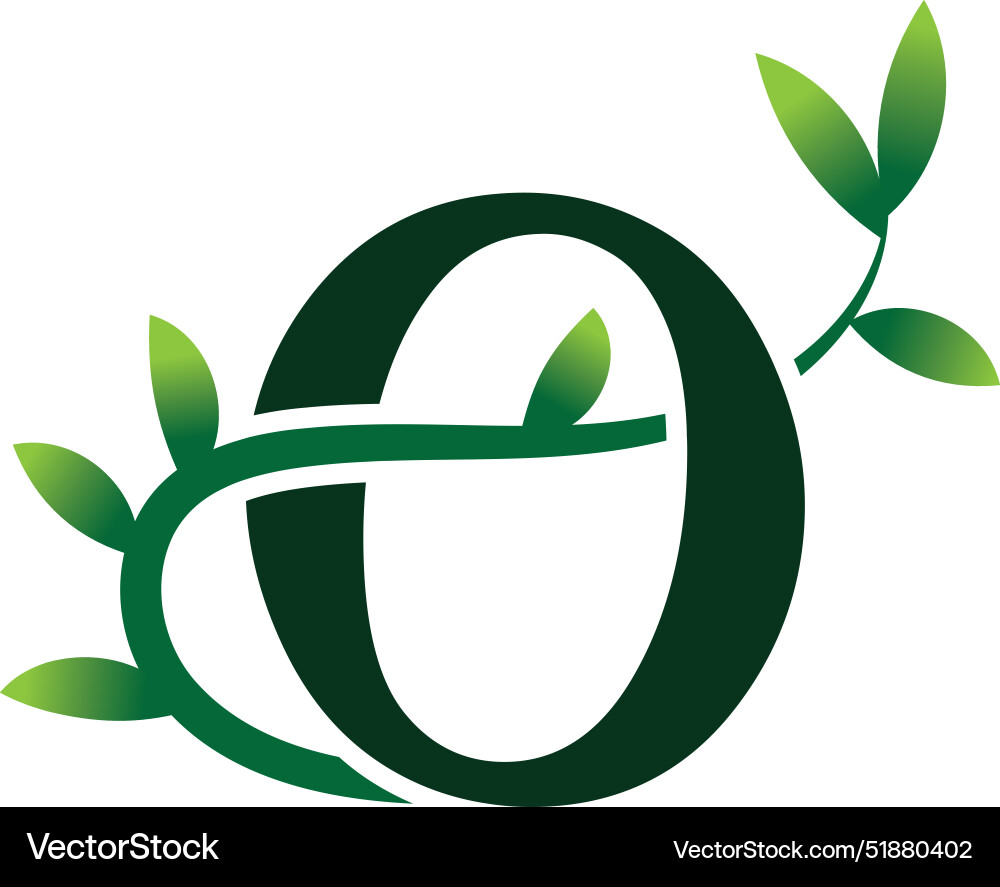 O letter logo green color leaf style Royalty Free Vector